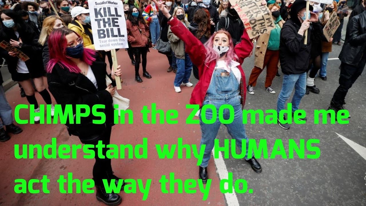 I learnt the TERRIFYING truth about humans. - YouTube