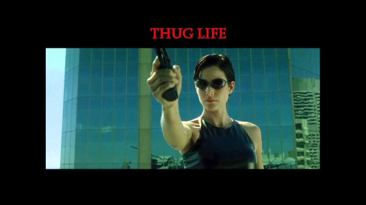 Dodge This, Thug Life - YouTube