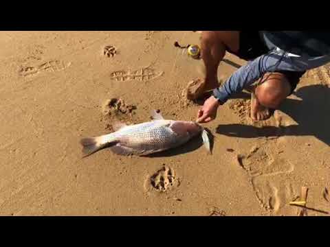 Fishing 9kg fish in sea - YouTube