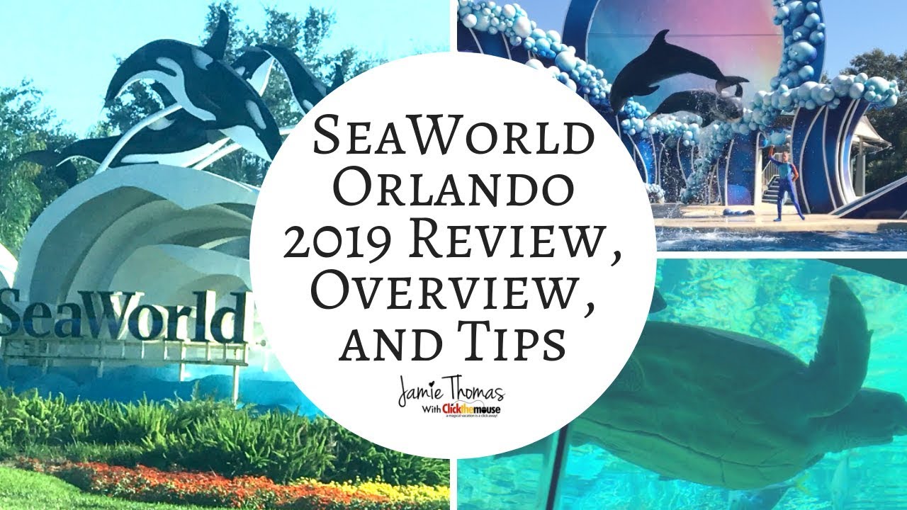 Seaworld Orlando Review and Tips VLOG - YouTube