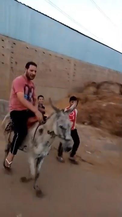 اول مره يركب حمار 😂😂 Youtube