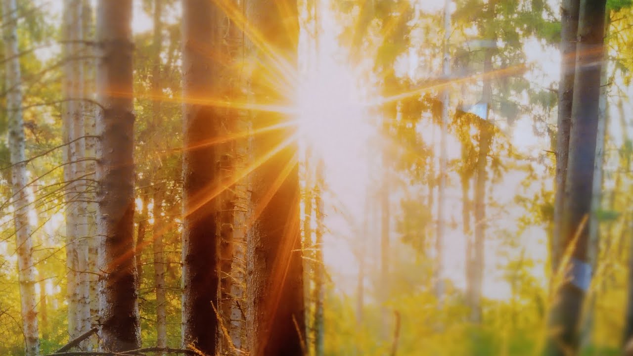 BURNING UP, On the Homestead. - YouTube