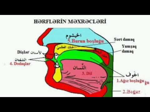 Tecvid. Ders-5. Sekillerle herflerin mexreci. Muhammad Nicat.