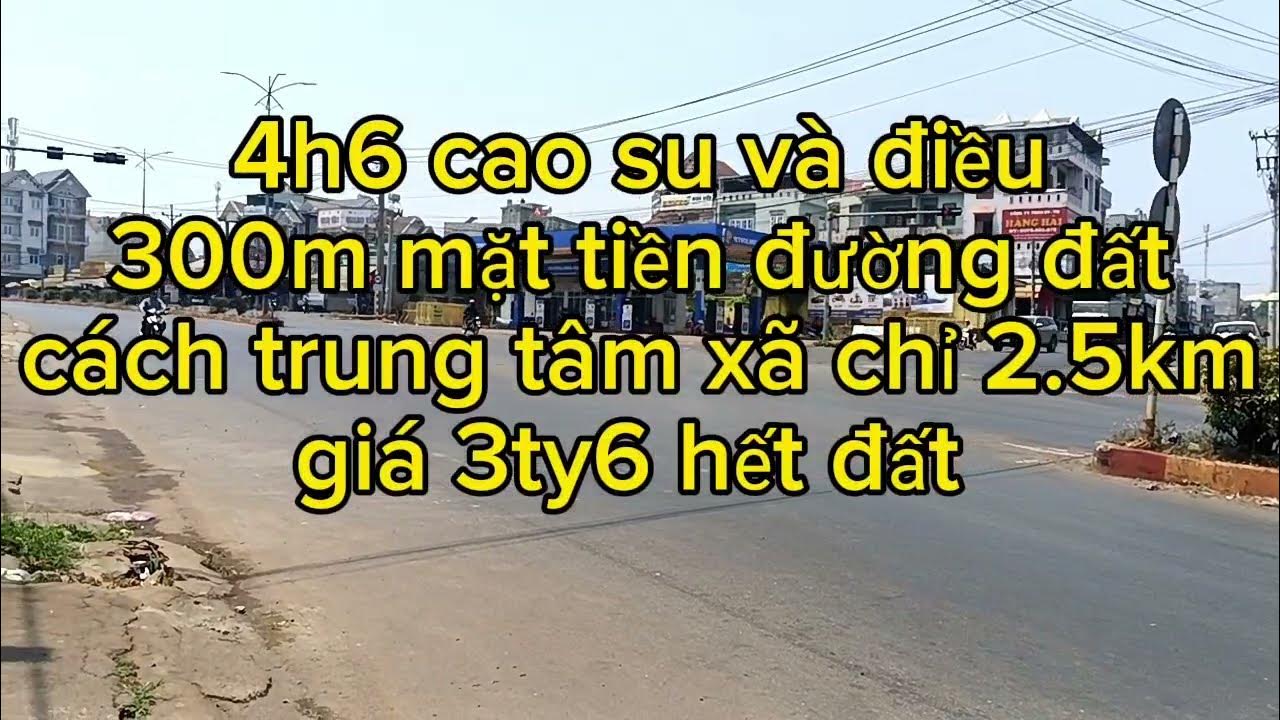 Nợ dí cần bán gấp vườn cao su. DT 4héc6 có 300m đường đất. các DT 741 2km - YouTube