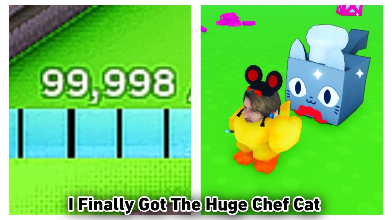 I FINALLY GOT THE HUGE CHEF CAT! - YouTube