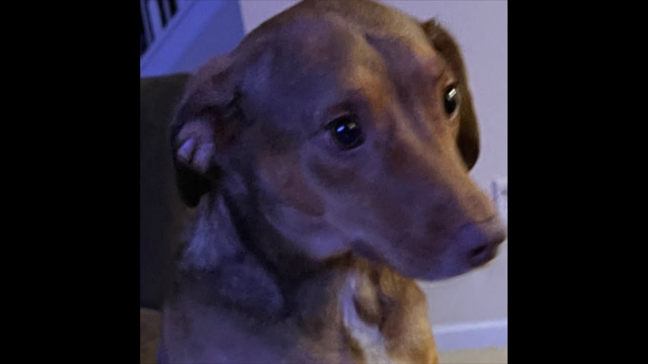 PERFECT BACKGROUND ASMR 😏 - YouTube