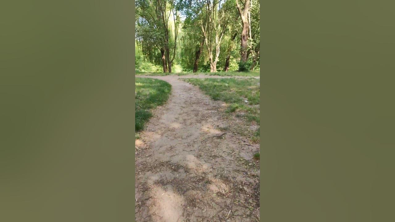 A Walk In The Park YouTube a-walk-in-the-park-youtube