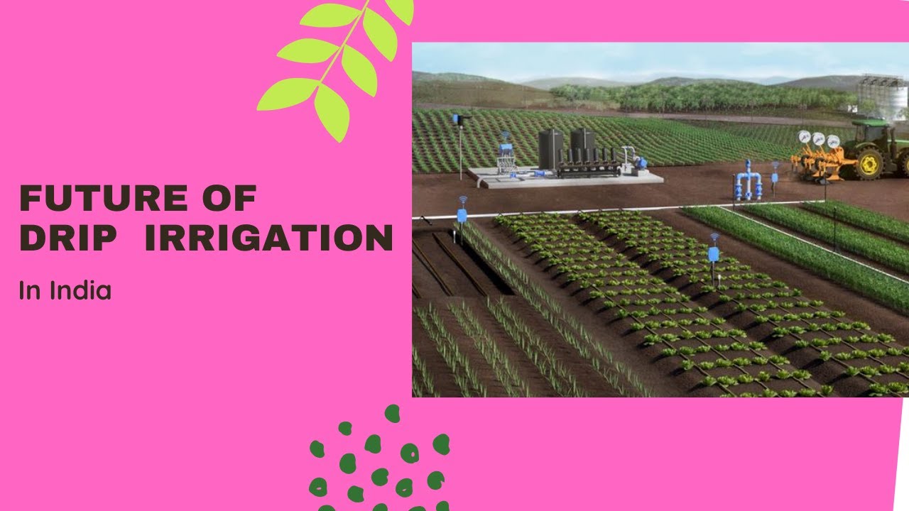 Future of Drip Irrigation in India - YouTube