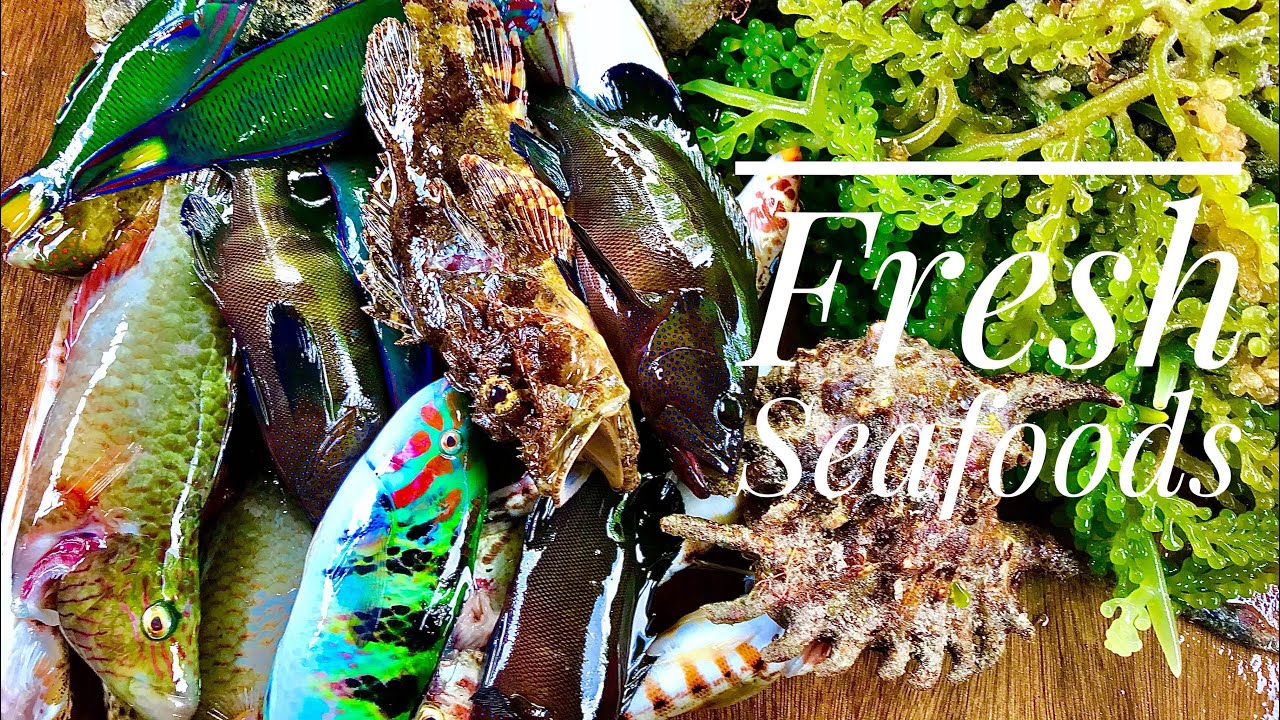 FRESH SEAFOODS (FISH, SPIDER SHELL, SEA GRAPES) | CATCH | BOHOL ...