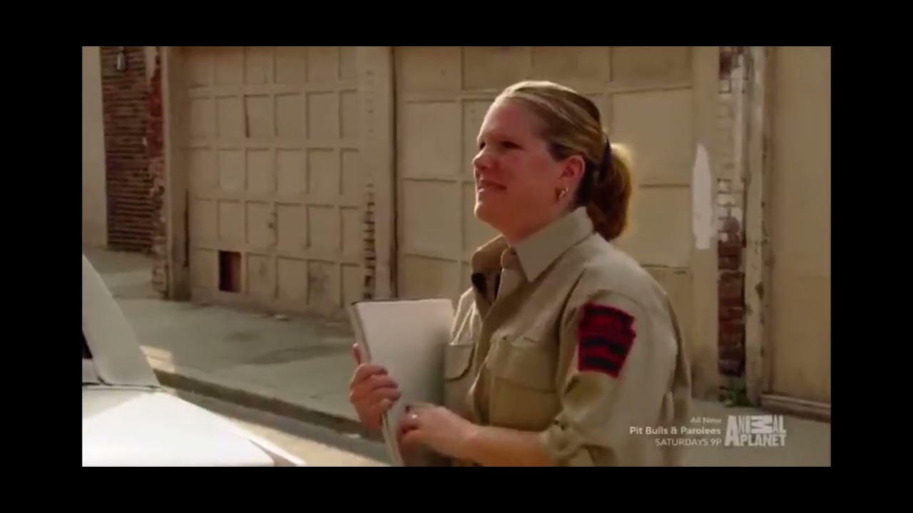 animal cops Philadelphia s1e4 - YouTube