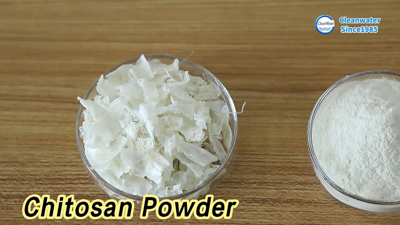 Chitosan Powder