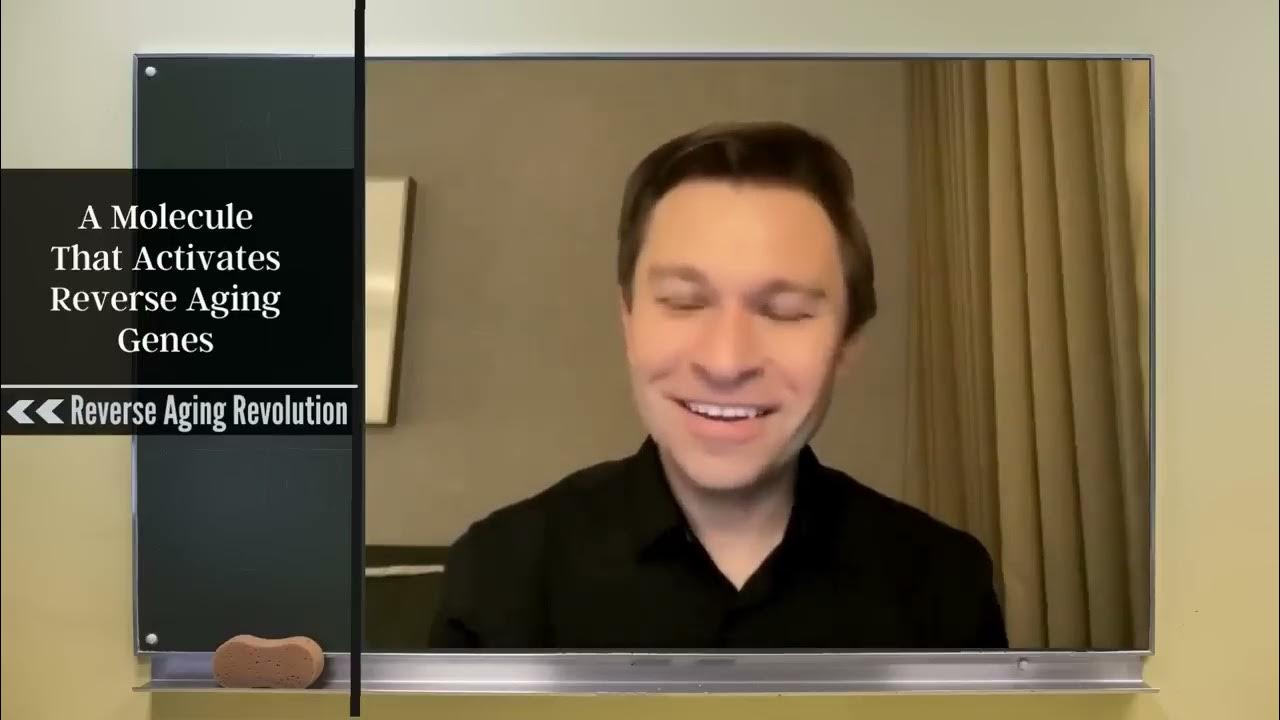 Reverse Aging with common supplement: Alpha-Ketoglutarate | Dr. David Sinclair (Anti-Aging ...