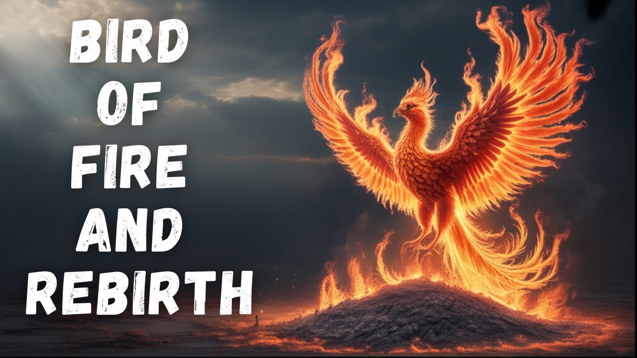 The Phoenix – Bird of Fire and Rebirth | Mythology Documentary - YouTube