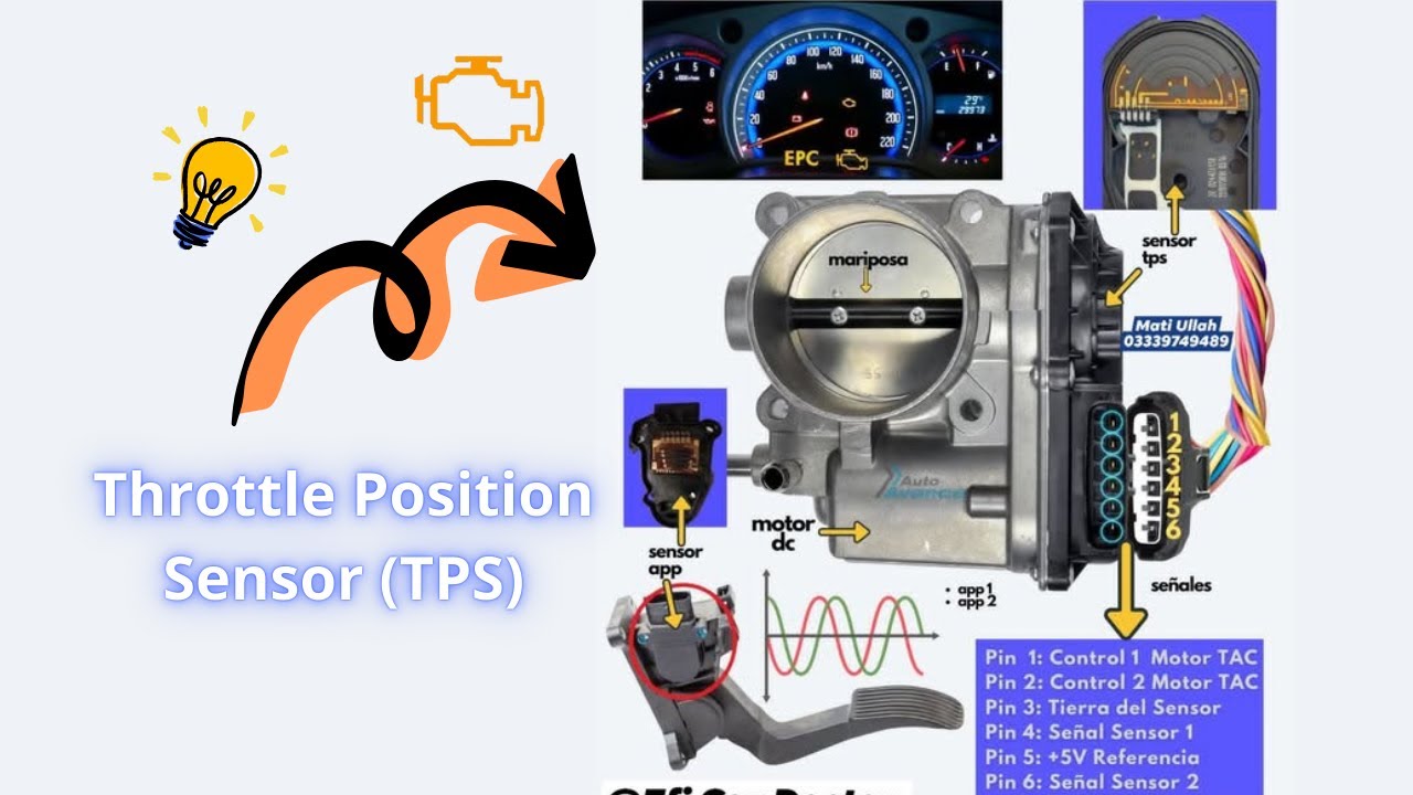 how throttle position sensor work and Symptoms of a Bad Throttle ...
