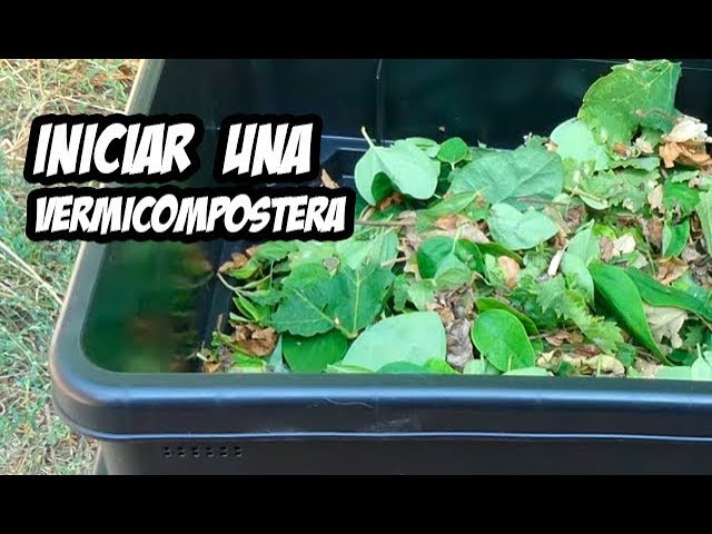 Vermicompostera