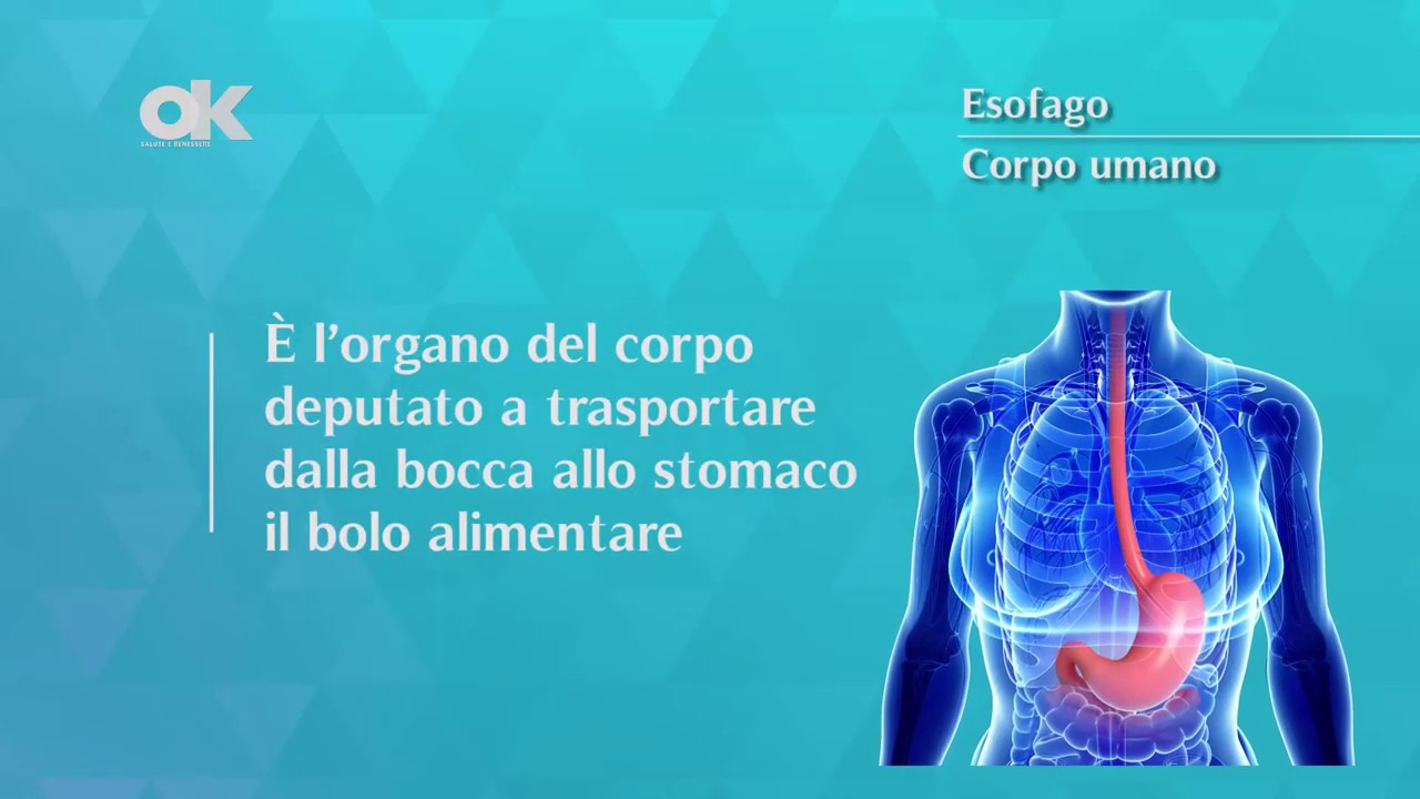 Esofago - YouTube