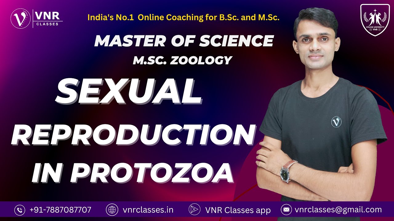 3. SEXUAL REPRODUCTION IN PROTOZOA | M.Sc. SEMESTER- I | ZOOLOGY | UP M ...