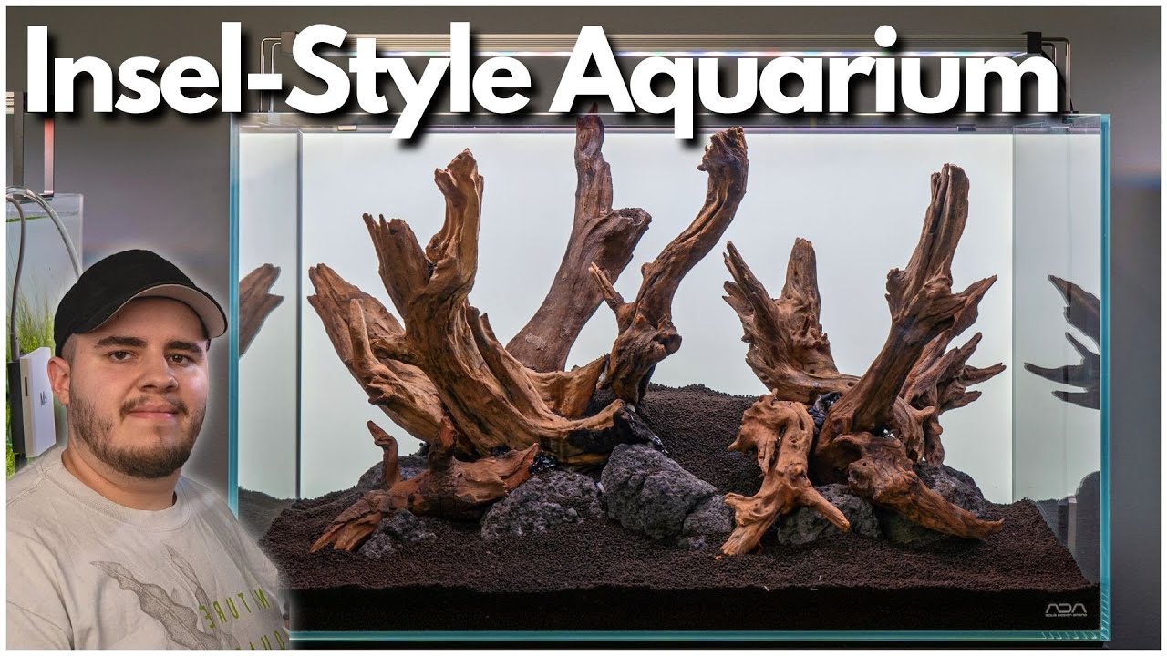 Aquascaping Tutorial: 60cm Insel-Style Aquarium einrichten! - YouTube