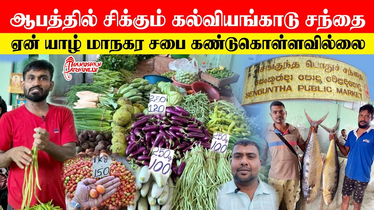 ஆபத்தில் சிக்கும் யாழ் கல்வியங்காடு பொது சந்தை | மாநகரசபை ஏன் கண்டு ...