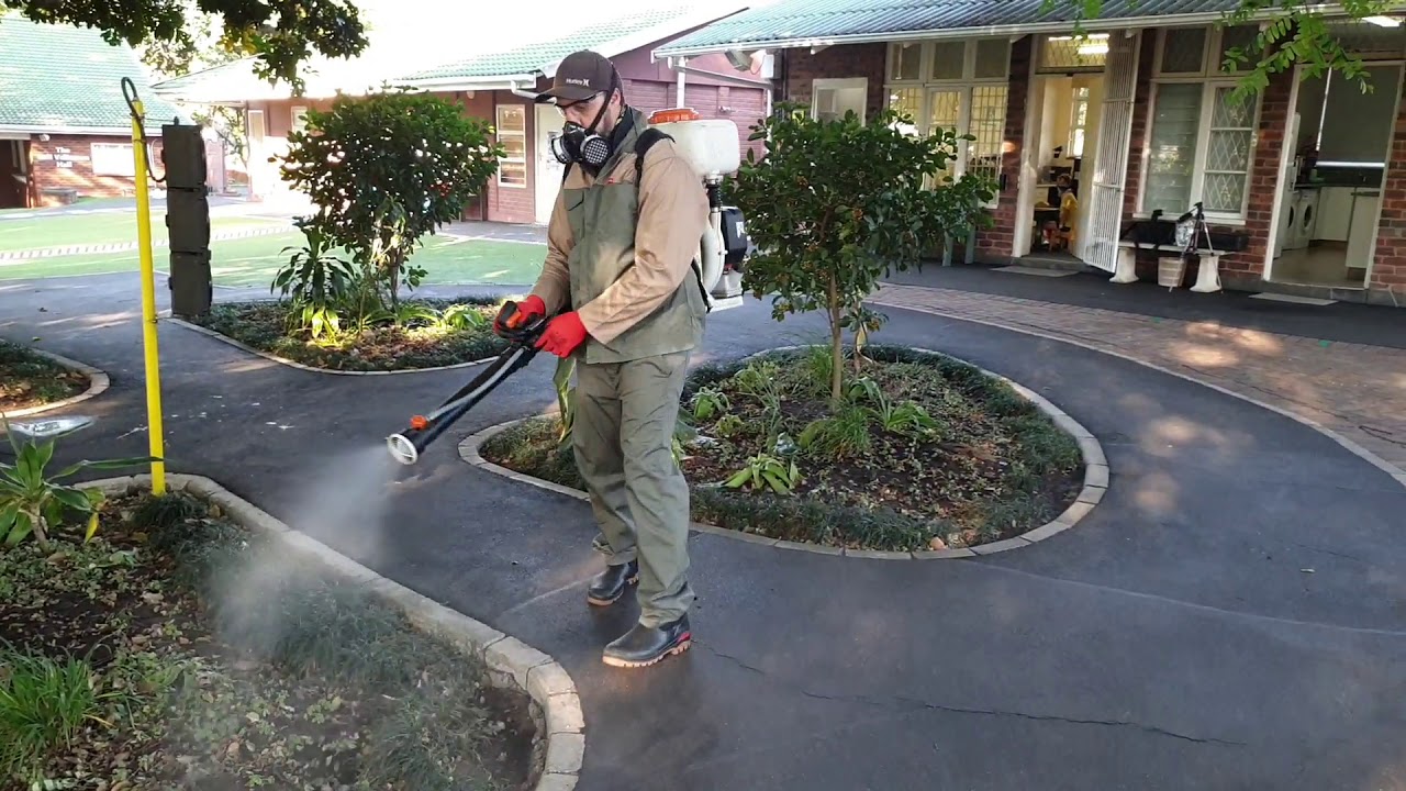 Blitz FogIt Extermination and Sanitisation experts - YouTube