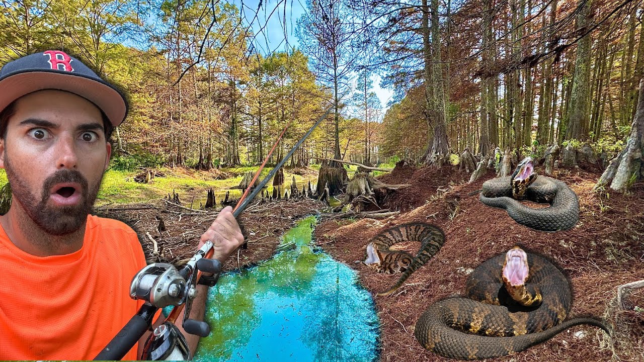 BITTEN While Fishing The SNAKE INFESTED Swamp of the DRAINING LAKE ...