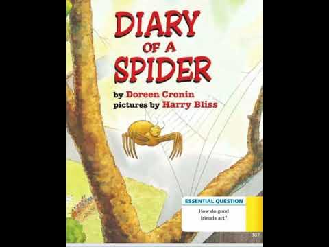 Diary of a spider - A Swallow and a Spider Journeys Unit 1 Lesson 4 2nd ...