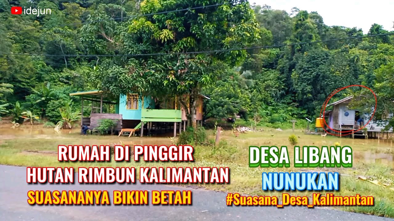 Desa Libang Rumah Di Pinggir Hutan Rimbun Kalimantan Yang Bikin Betah ...
