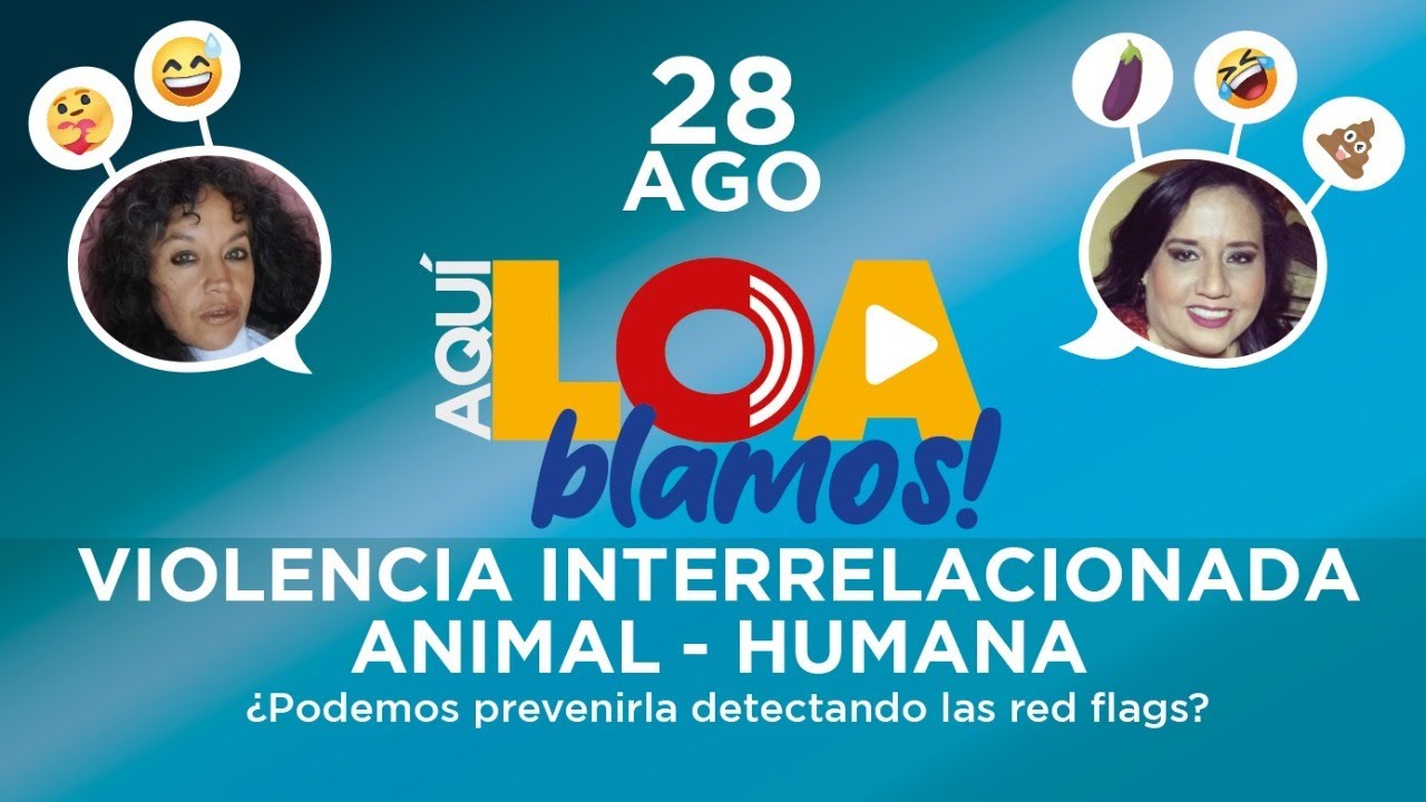 #AquiLOAblamos Violencia Interrelacionada Animal - Humano - YouTube