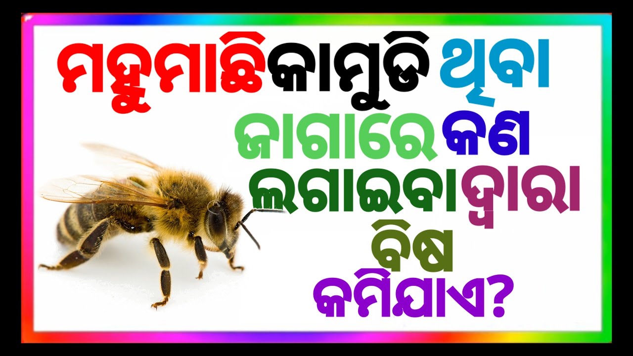 Top 20 General knowledge |most popular quction|GK Question and Answer ...