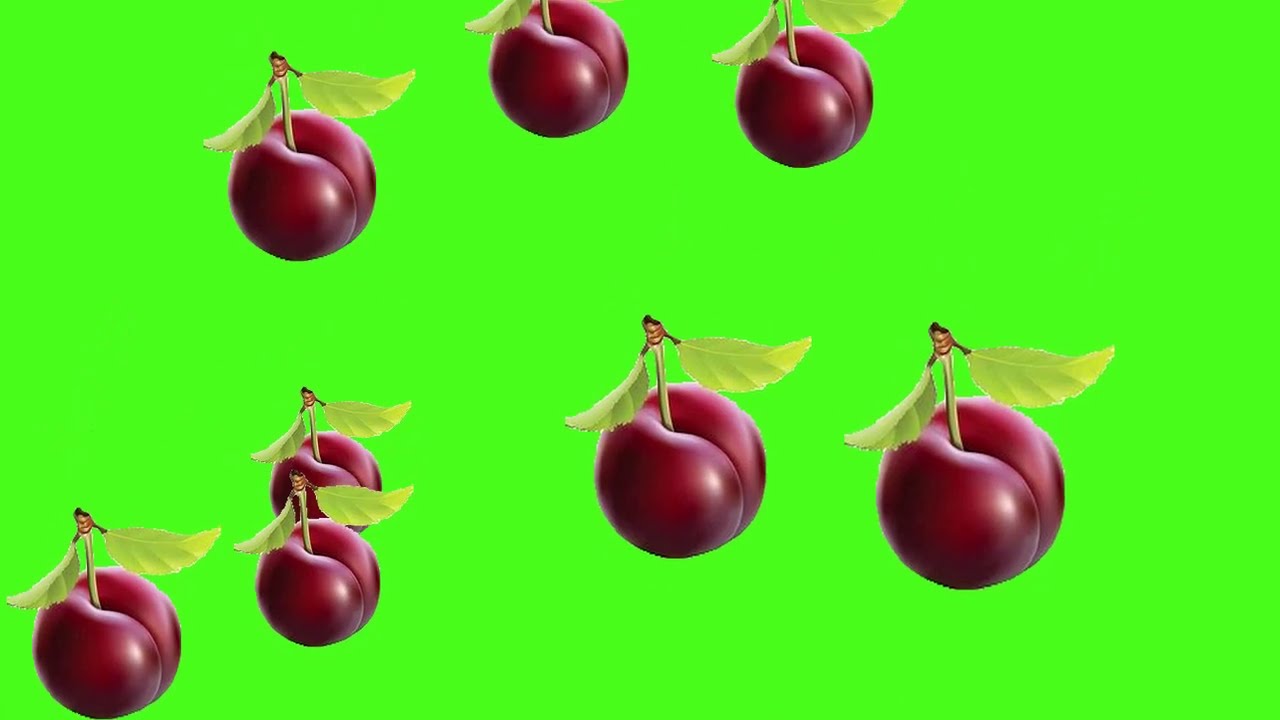 free green screen Falling Plums Fruits/ green screen Plum fruit RAIN ...