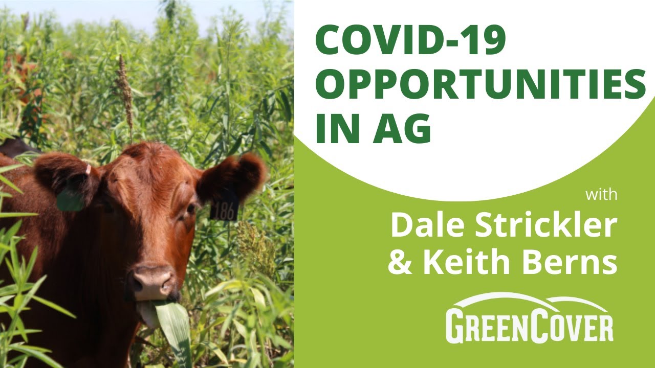 Covid-19 Opportunities in Ag with Keith Berns & Dale Strickler - YouTube