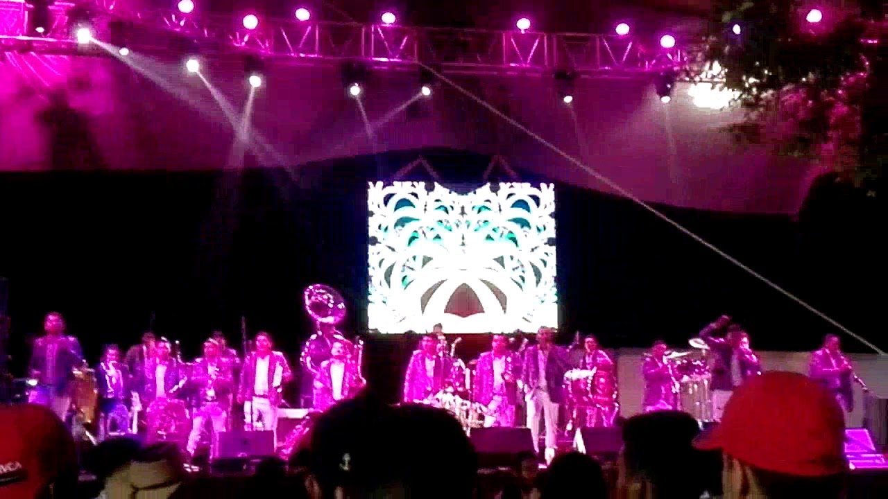Banda Carnavalito - El Viejo Lesbiano - YouTube