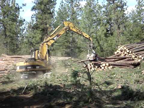 Tree killing machine - October 2008 - YouTube