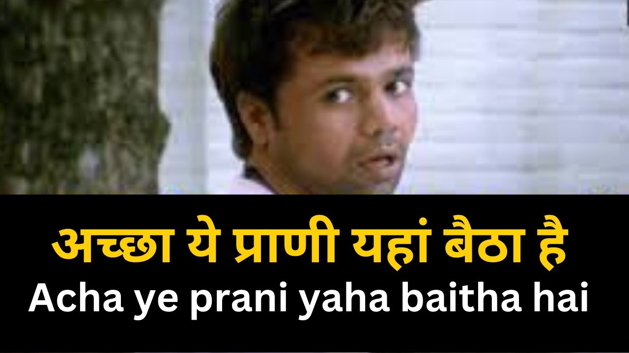 Acha ye prani yaha baitha hai meme template l Chup Chupke Rajpal Yadav ...