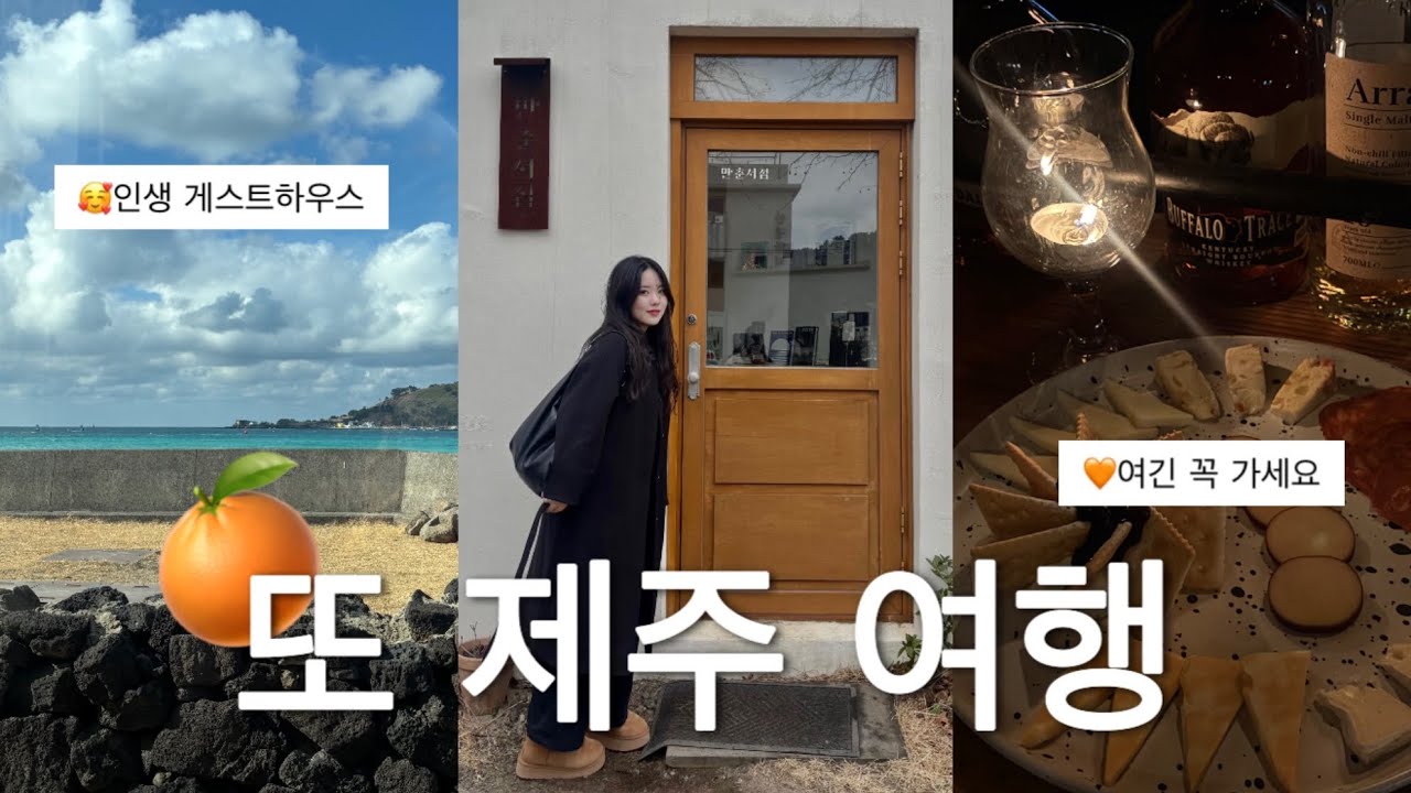 Vlog 난 제주만 가제주 브이로그🍊 애월 굿나잇 굿럭 게스트하우스 구독자 만난 썰 비행기표 또 취소🫢 제주 여행 필수 코스 로미 뮤직 하우스