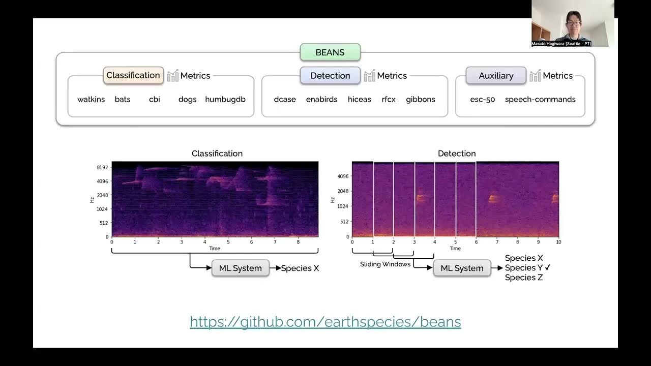 ICASSP 2023- AVES: Animal Vocalization Encoder based on Self Supervision - YouTube