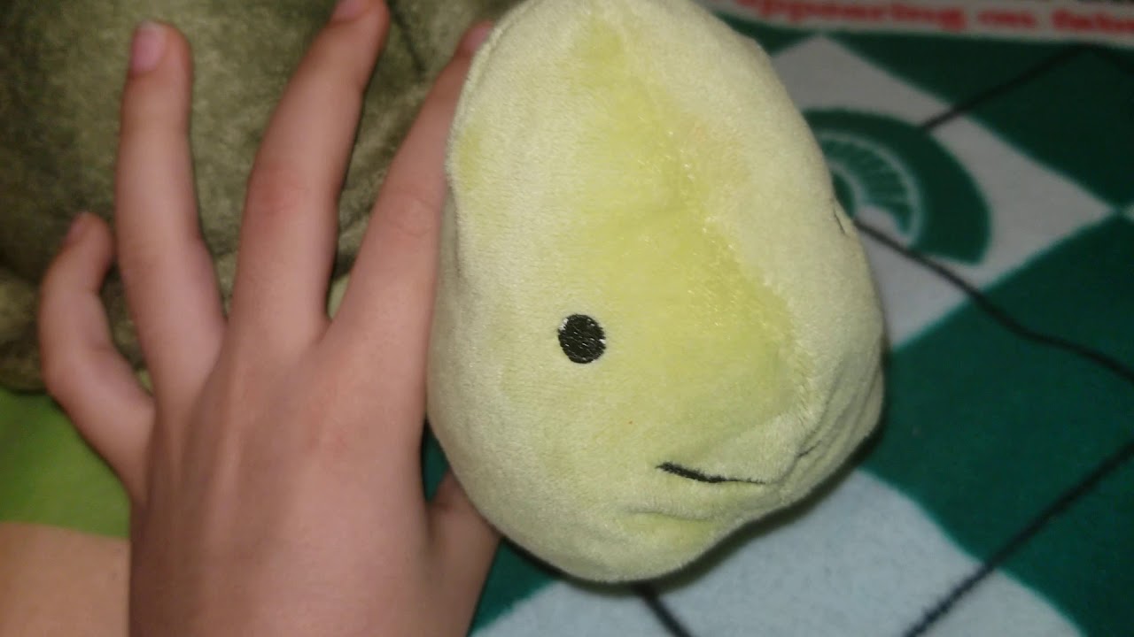 About Toto the the turtle - YouTube