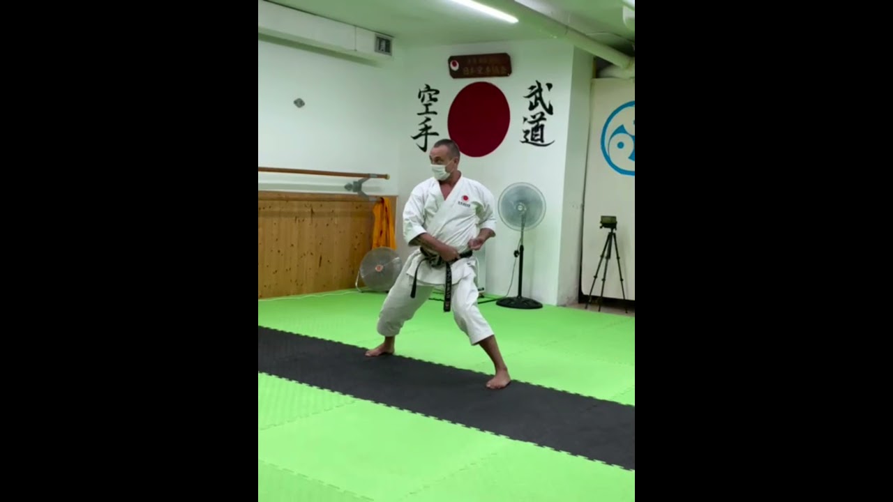 Tsuki Waza Kiba dachi Yori ashi y Shizen Tai - YouTube