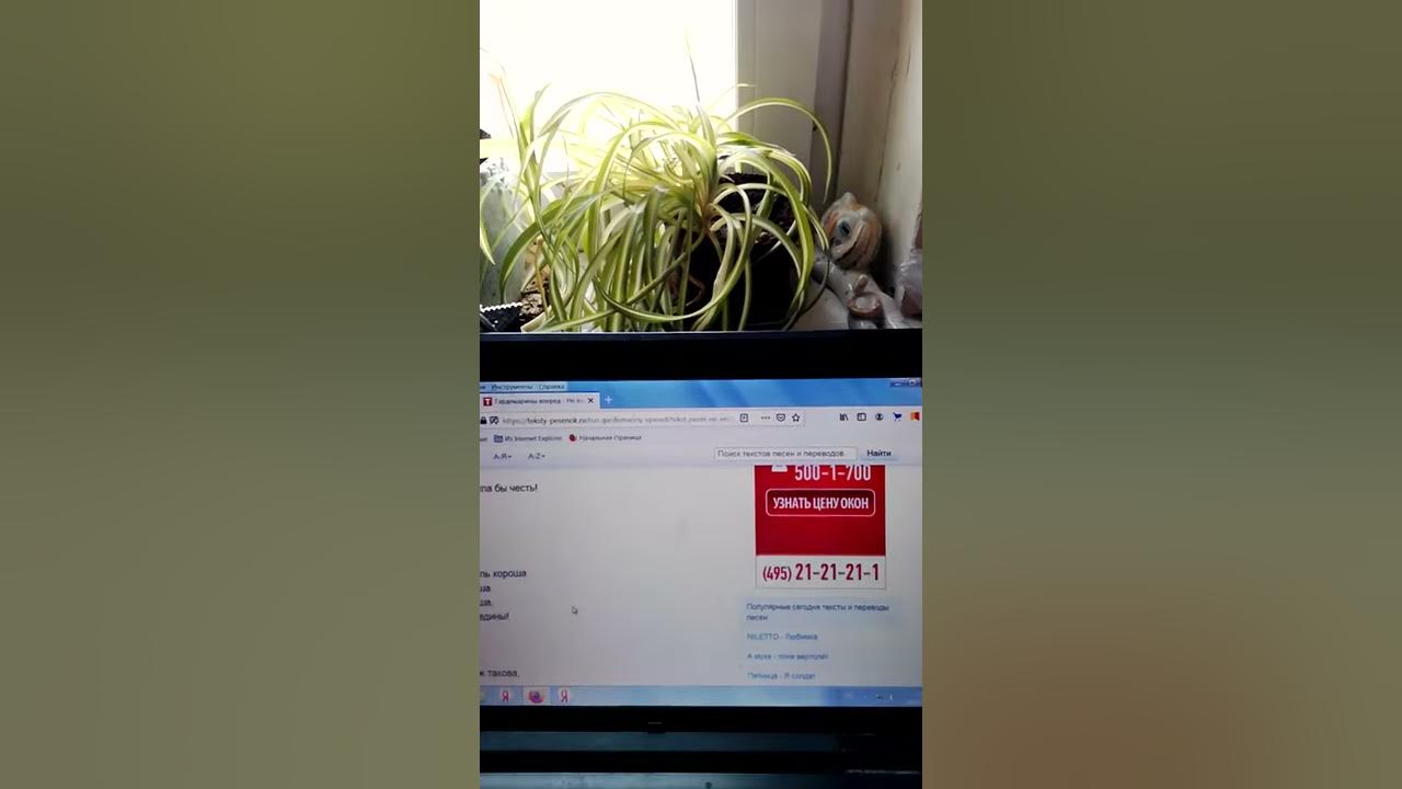 Школа Знания для жизни. Музыкальный звонок между уроками - Не вешать ...