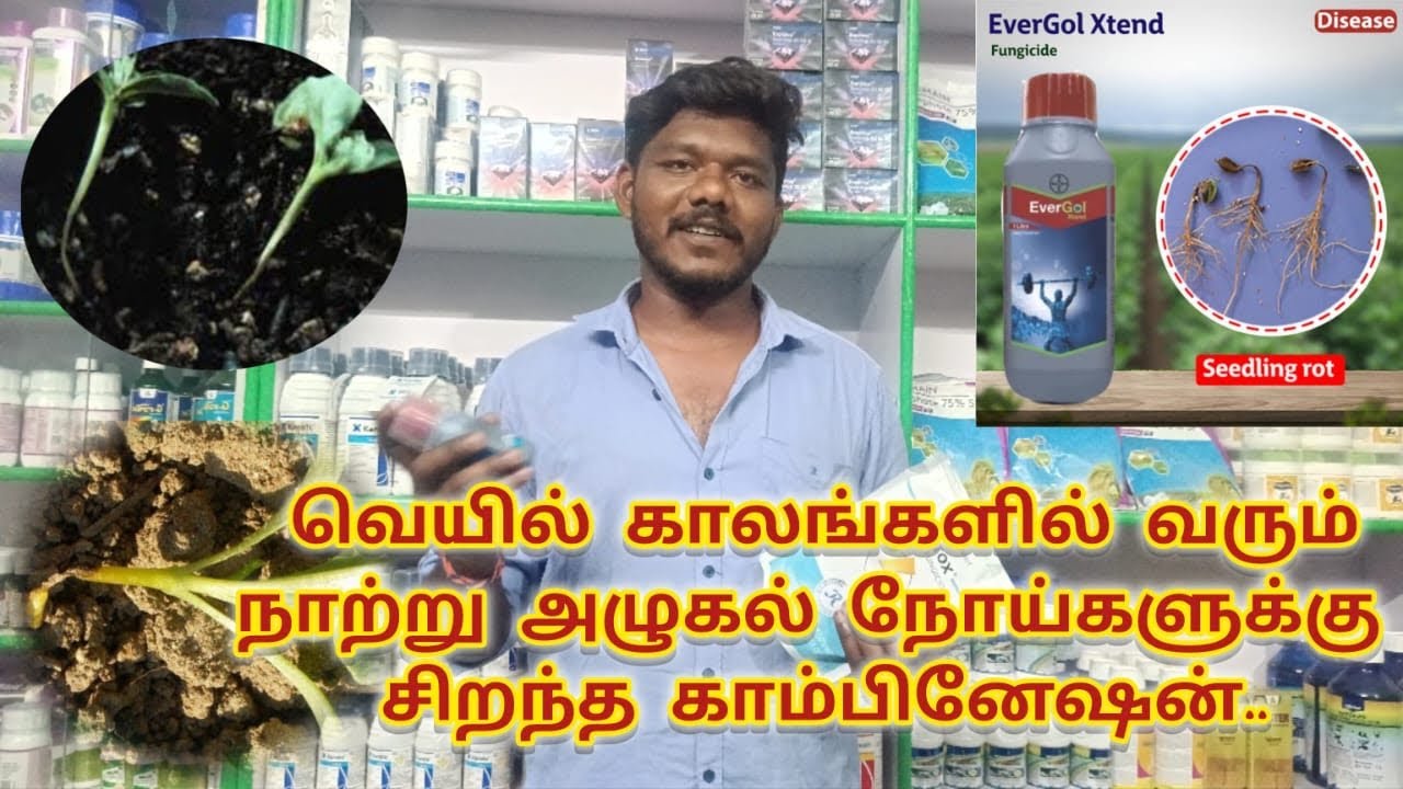 Bayer company ~யின் சிறந்த மருந்து Bayer Evergol xtend மருந்தை பற்றி ...