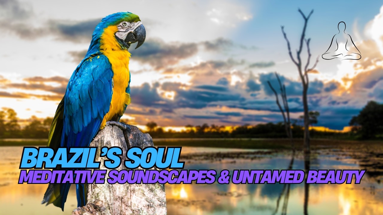 Serene Echoes: Meditative Journeys Through Brazil’s Eden 🌿🎶 | Explore ...