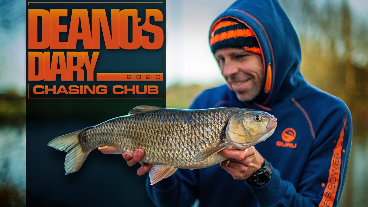Deano's Diary Chasing Chub - YouTube
