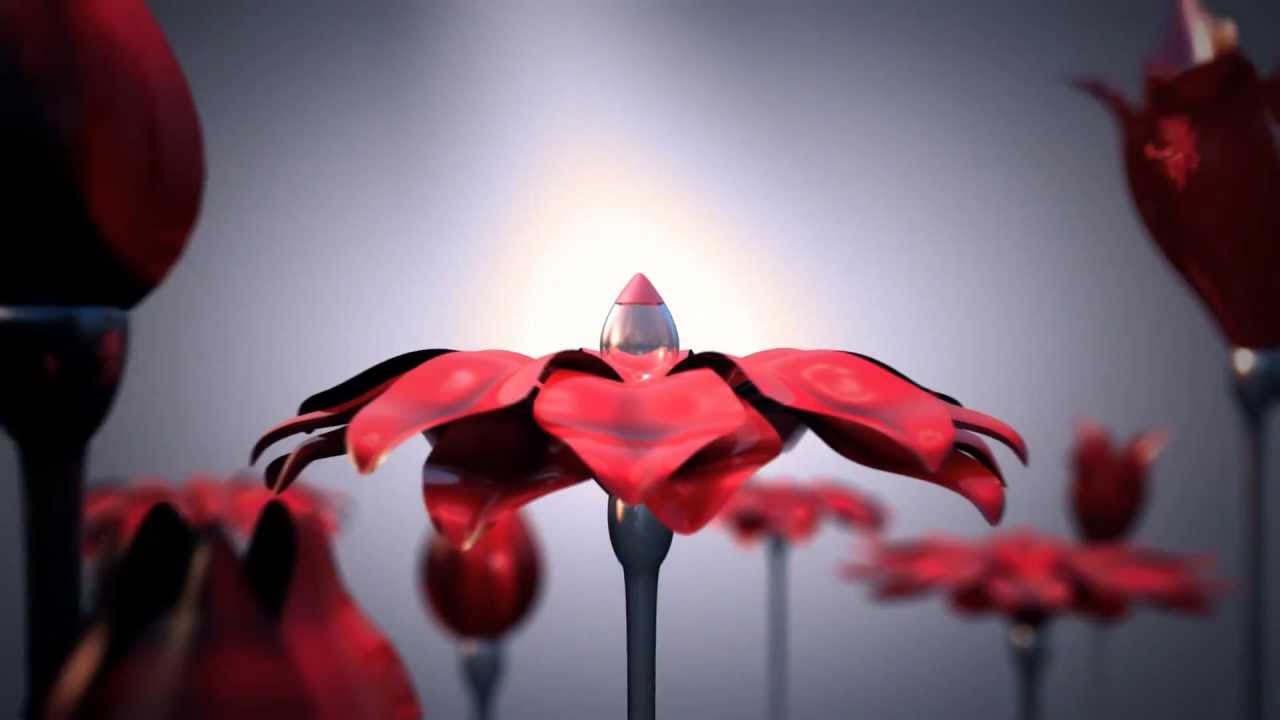 BLOOM | PERFUME COMMERCIAL - YouTube