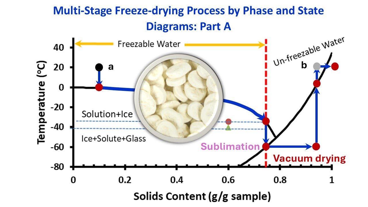 Multi-Stage Freeze-drying Process by Phase and State Diagrams: Part A ...