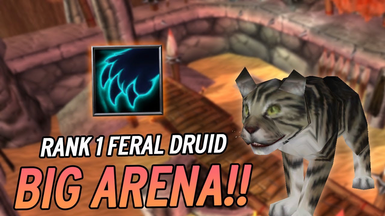 RANK 1 FERAL DRUID CLIMB!!! | Bean WoW WotLK Classic - YouTube