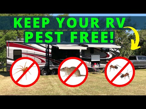 How To Keep Spiders Out Of Your Camper