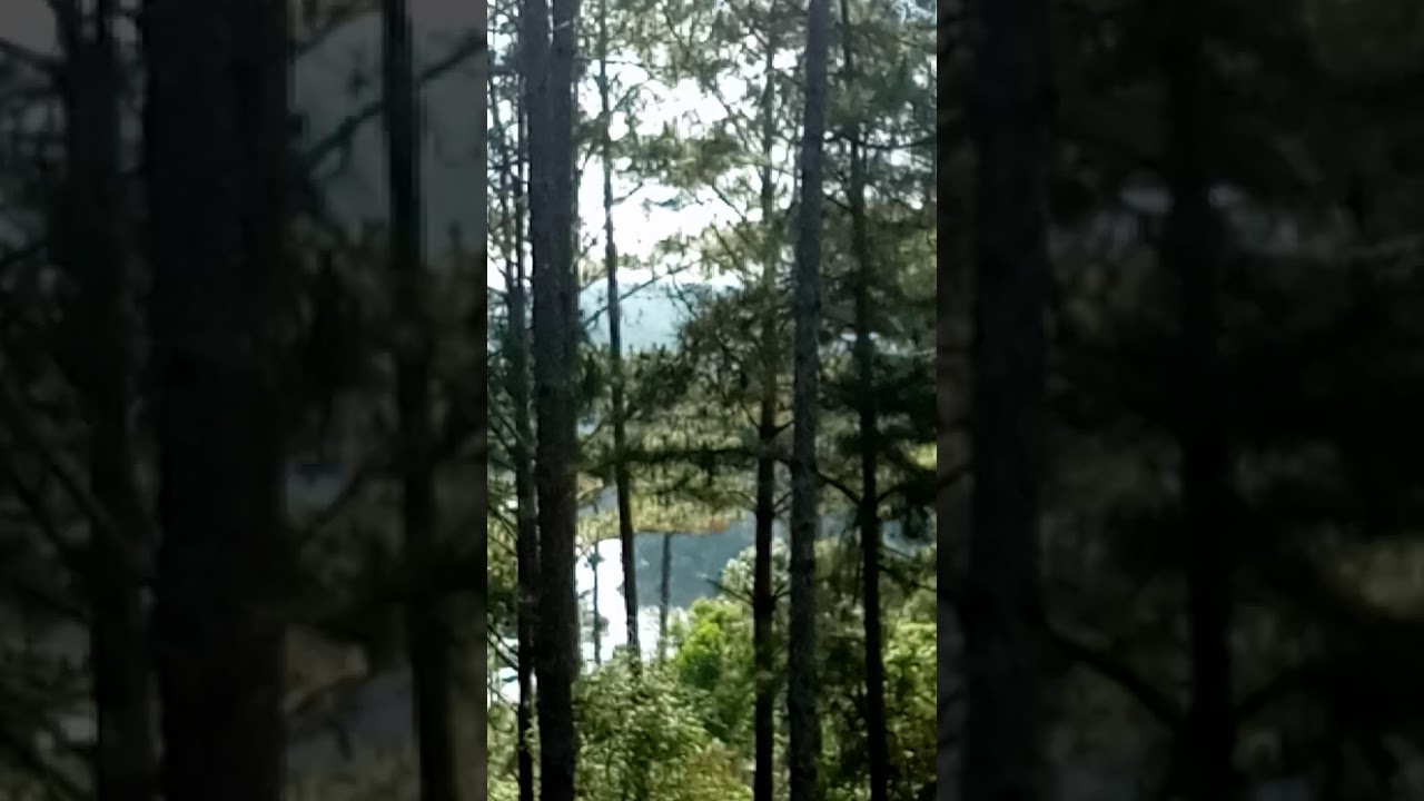 Scary cable car ride DaLat - YouTube