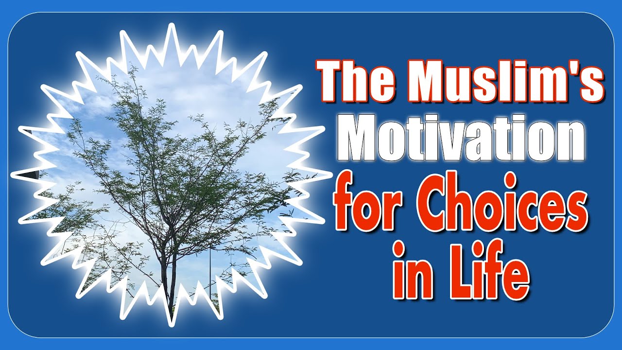 The Muslim’s Motivation for Choices in Life | A Moment Please! E28 ...