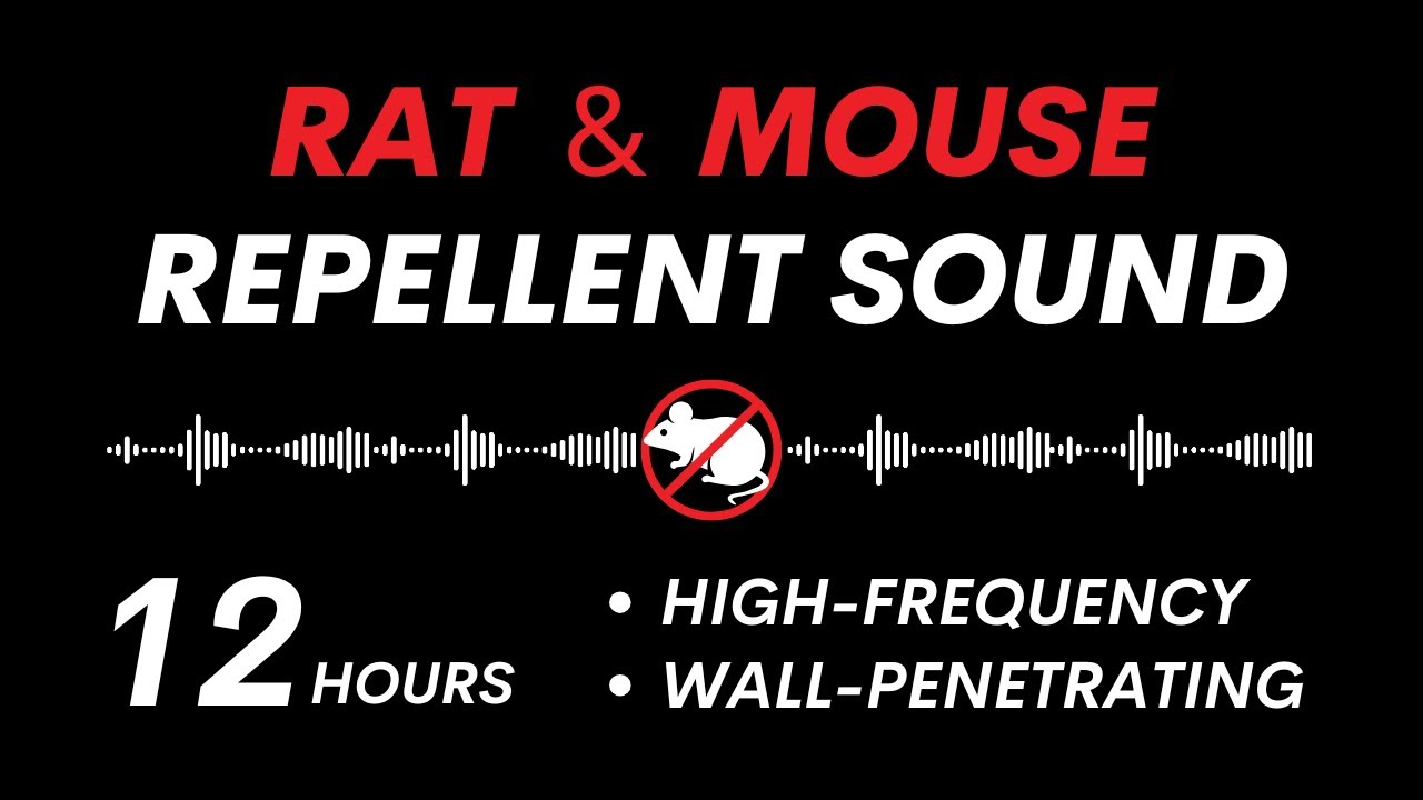 Ultrasonic Rat & Mouse Repellent | Effective Wall-Penetrating Sound ...