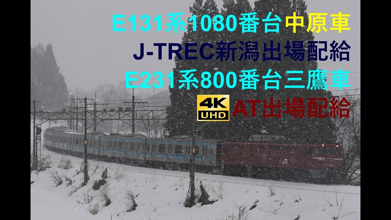 1130 2023/12/21撮影 E131系1080番台中原車J-TREC新潟出場配給 E231系800番台三鷹車AT出場配給 他 - YouTube